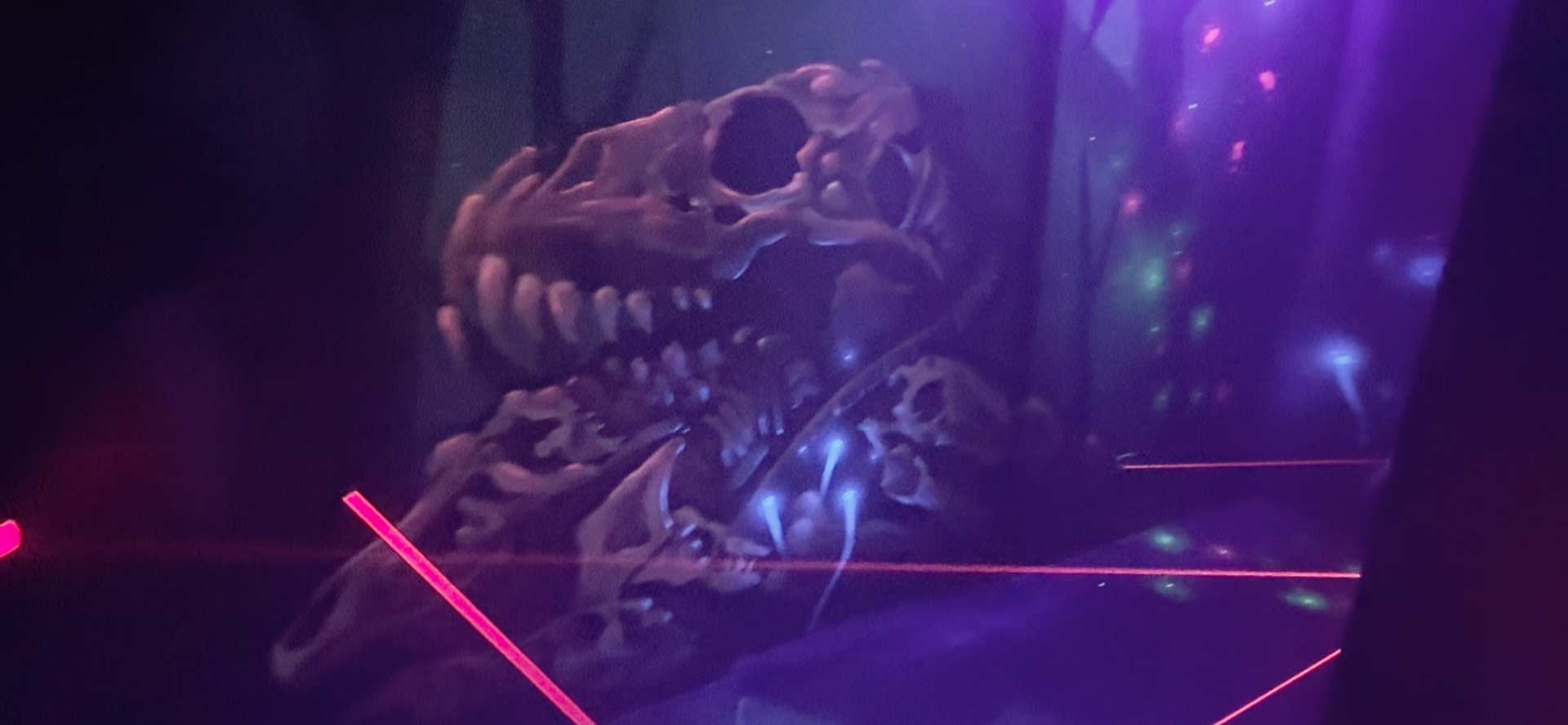 Centre de loisirs - Trampoline 44